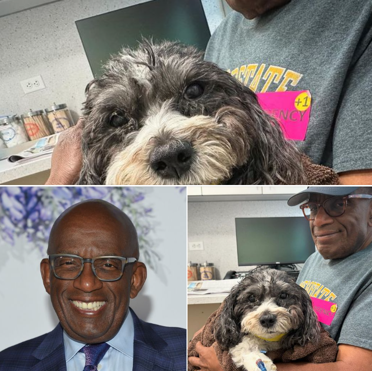 Al Roker misses “Today” show as dog Pepper undergoes emergency surgery ...