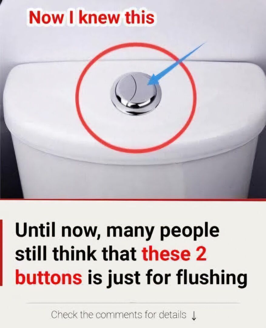 Some People Still Think These Two Buttons Are Only For Flushing - Usa Press