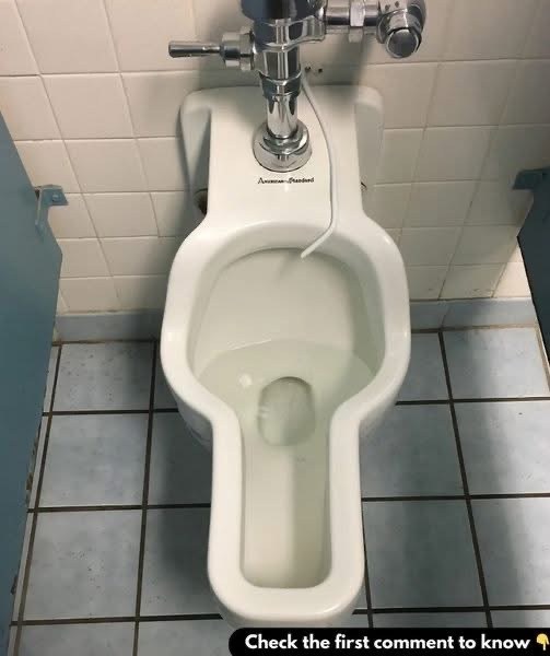 Unique Toilet Design at Huntsville Space Center: - Usa Press