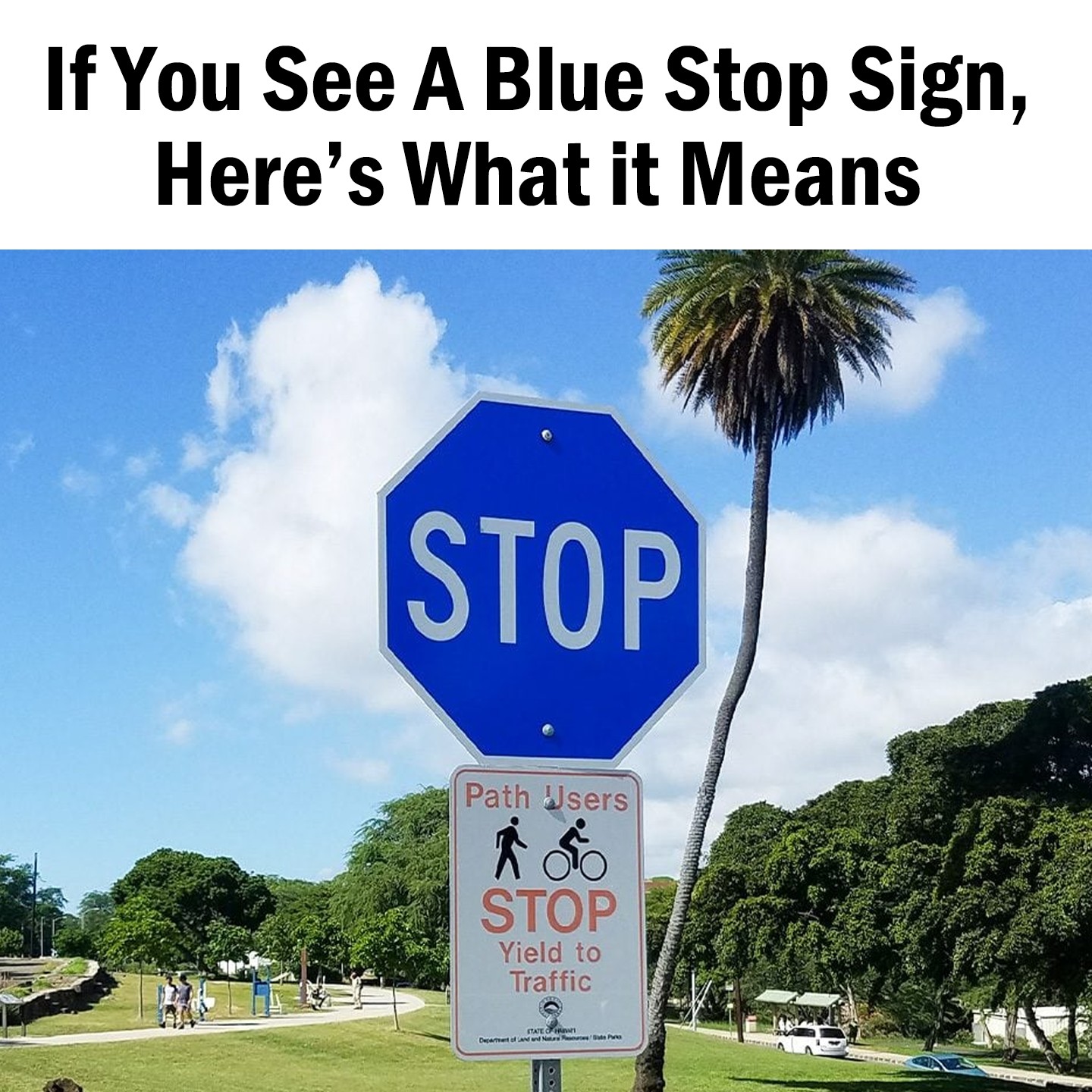 What Does a Blue Stop Sign Mean? - Usa Press