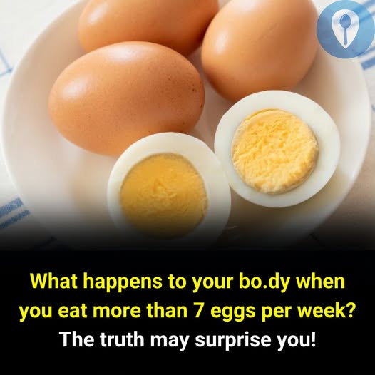 How many eggs should you eat a week? - Usa Press