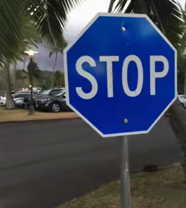The Meaning Behind a Blue Stop Sign and… - Usa Press