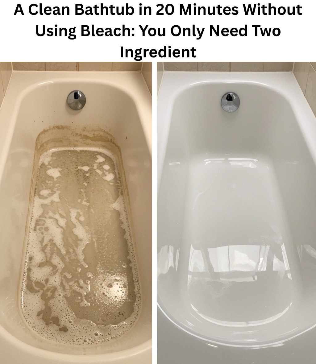 How To Effectively Clean The Tub And Shower - Usa Press