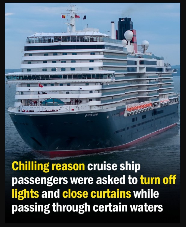 Cruise Ship Passengers Told to Shut Curtains and Lights for a Startling ...