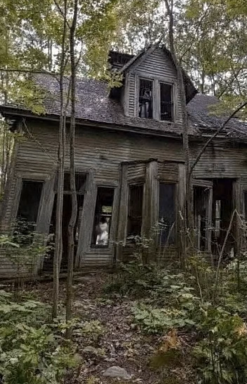 Restoring Glory: The Breathtaking Transformation of an 1889 House - Usa ...