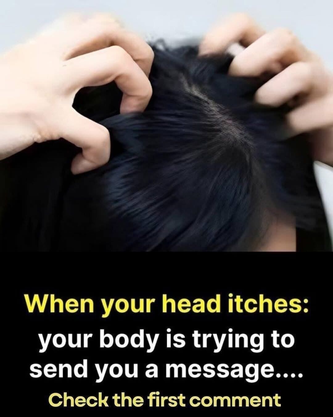 What’s Causing Your Itchy Scalp? Common Triggers and Fixes - Usa Press