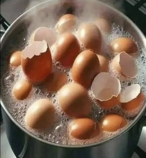 Stop Tossing Eggshells! Here’s How They Can Boost Your Health and ...