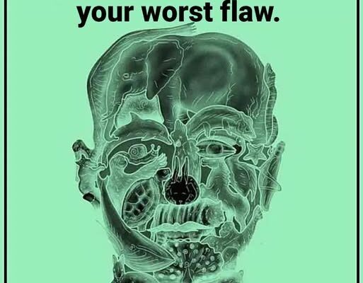 This visual test reveals your ‘worst flaw’ based on the first animal ...