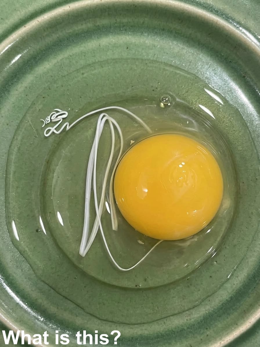 I Was About to Make Breakfast When I Noticed Something Strange Inside ...